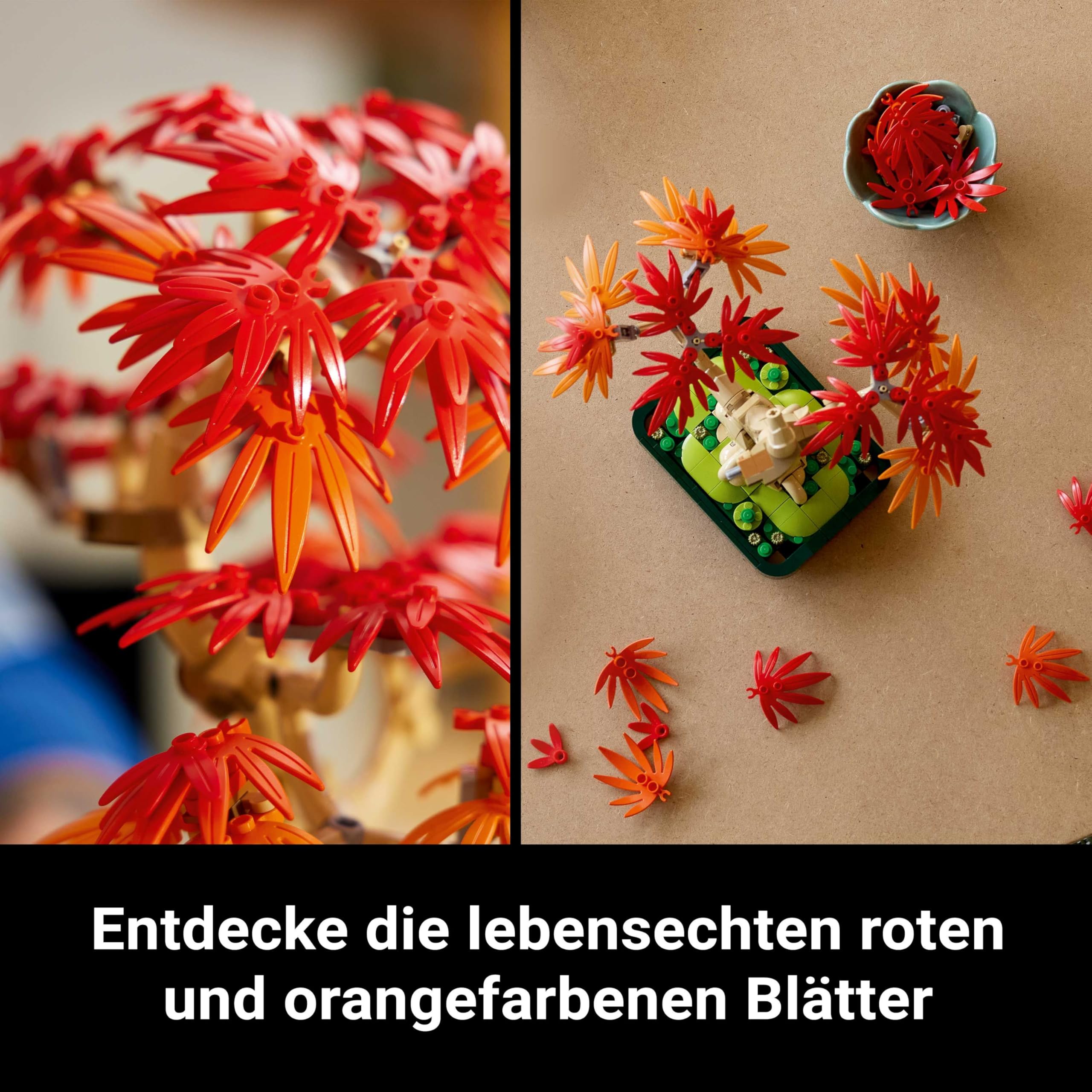 LEGO Botanicals Japanischer Roter Ahorn – Bonsai-Baum | 13850043558