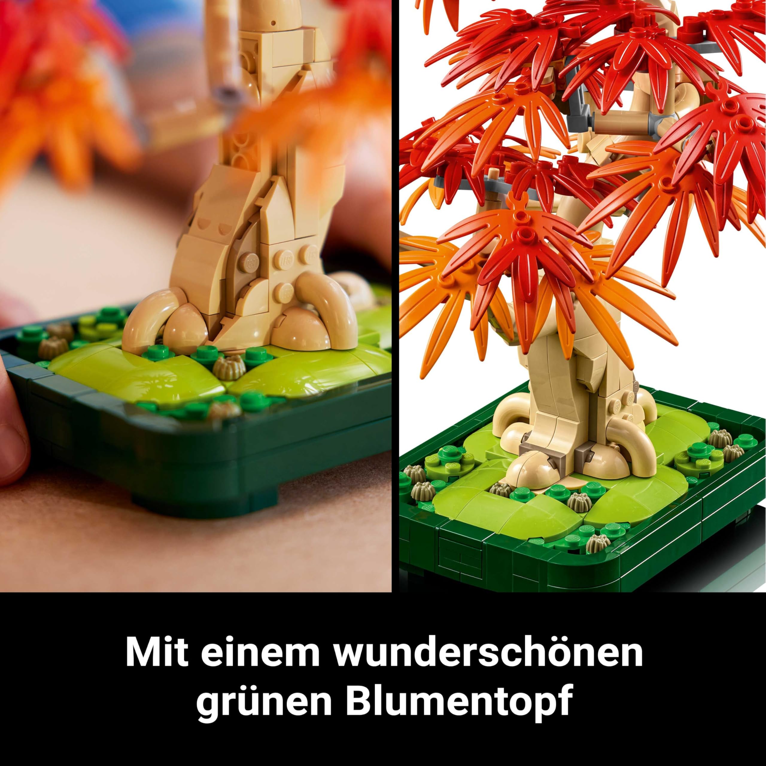 LEGO Botanicals Japanischer Roter Ahorn – Bonsai-Baum | 13850043558